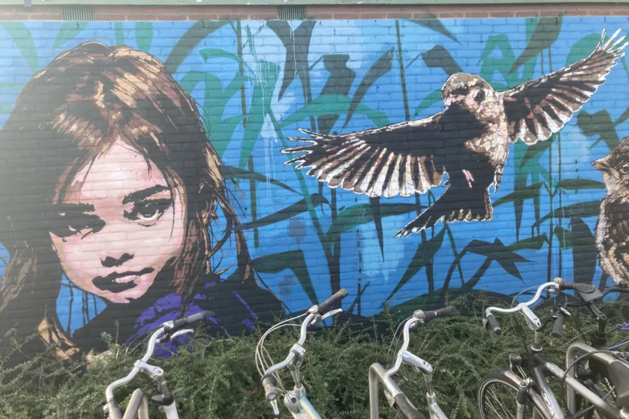 Beelden van Wageningen